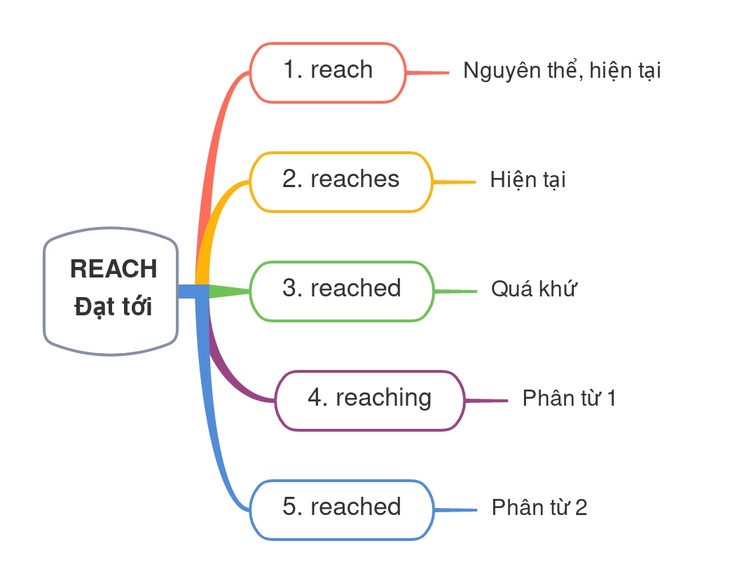 REACH - đạt tới